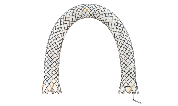 GATE Biliary Stent - APR Medtech