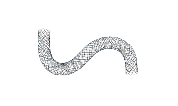 GATE Biliary Stent - APR Medtech
